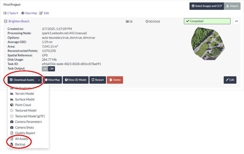 Import Existing Tasks | WebODM Lightning